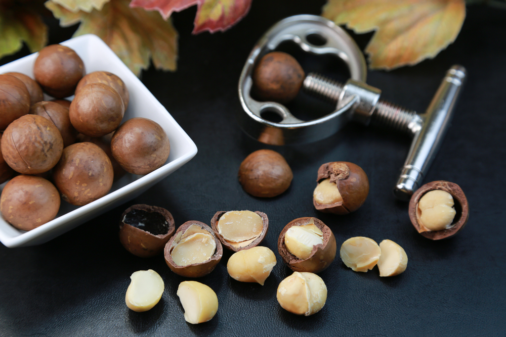 noce-macadamia-benefici-salute - Melarossa