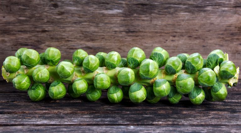 Cavoletti di Bruxelles: proprietà nutrizionali e usi in cucina | Melarossa