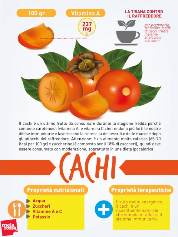 Cachi: valori nutrizionali, benefici e usi in cucina - Melarossa