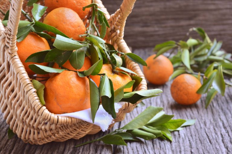 Il mandarino: proprietà, benefici e usi in cucina - Melarossa