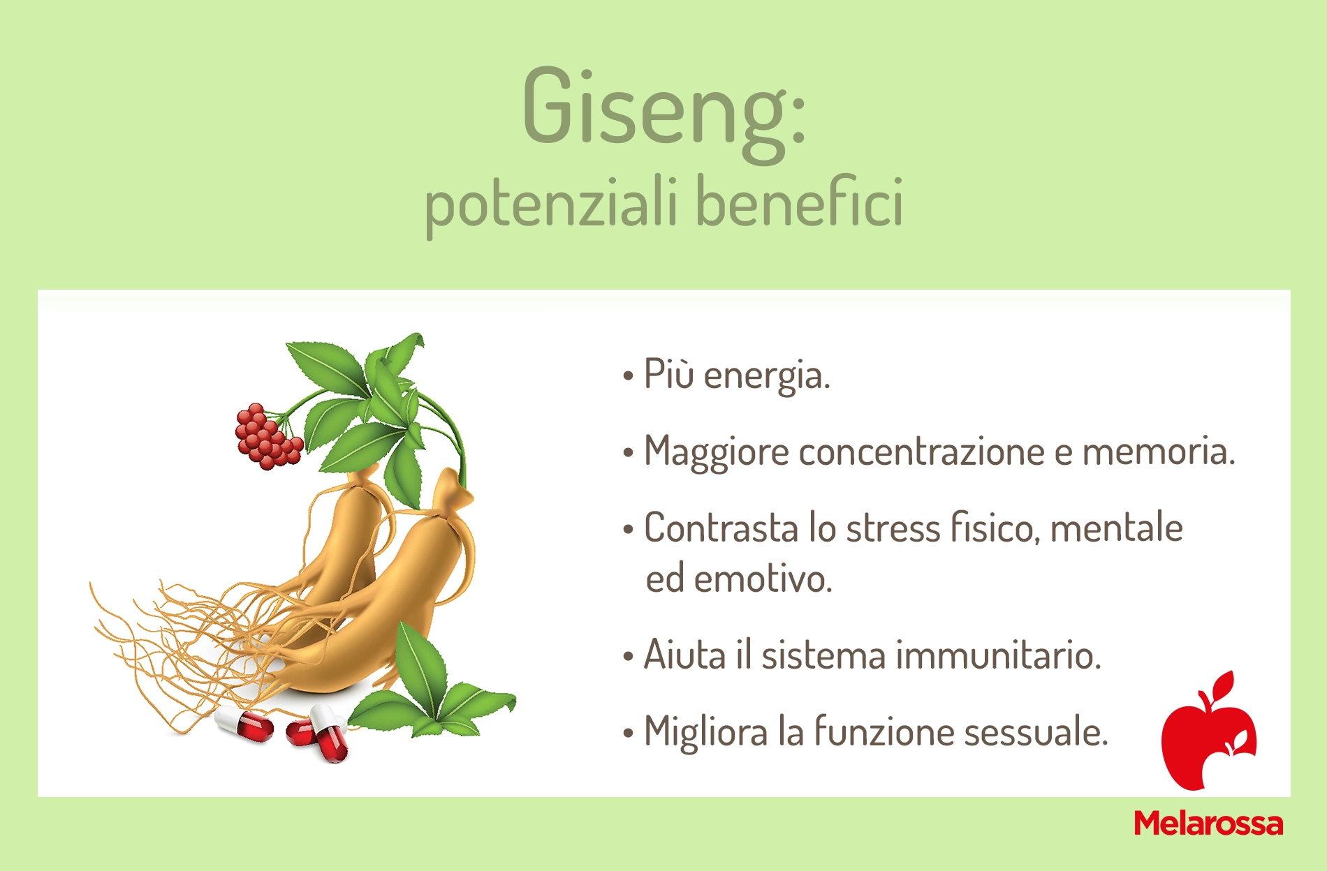 Ginseng: cos’è, proprietà e controindicazioni