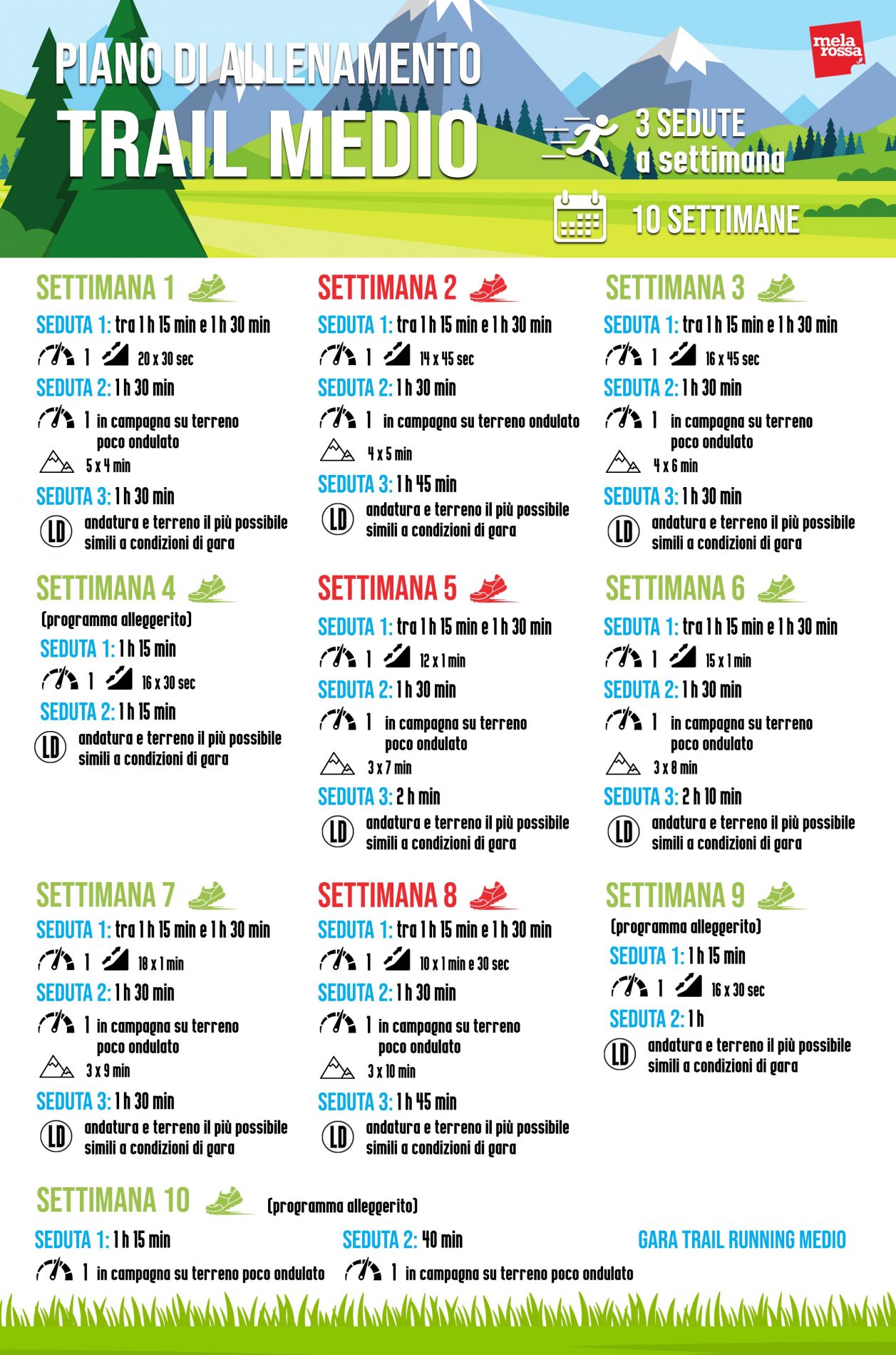 Trail running: scarpe, esercizi e programma di allenamento - Melarossa