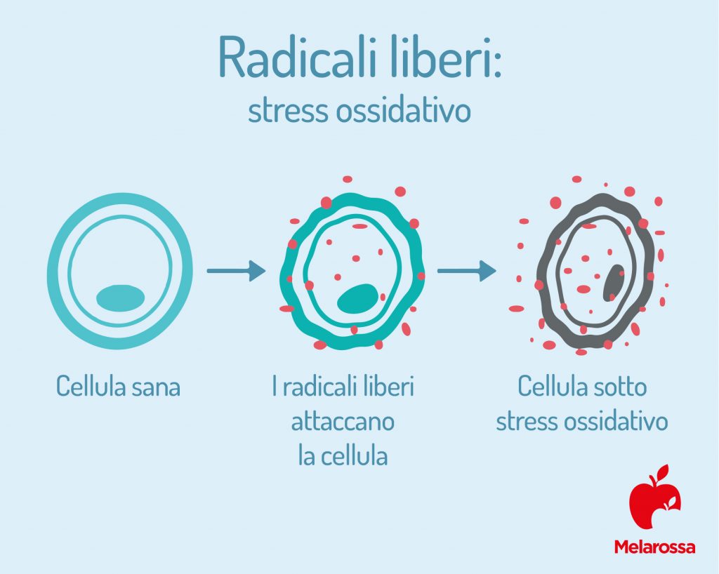 Radicali liberi: cosa sono, a cosa servono e come difendersi