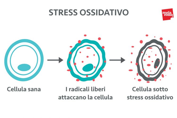 Radicali liberi: cosa sono, perché sono nocivi, come difendersi - Melarossa