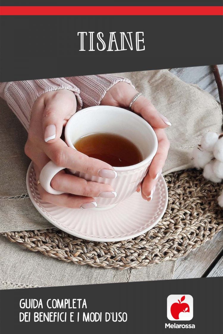 Tisane: la guida completa dei benefici e dei modi d'uso - Melarossa