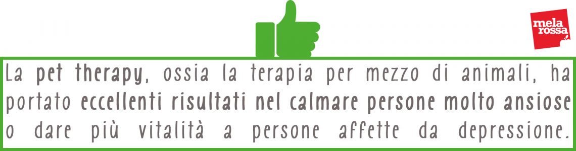 Aerofagia: cos'è, cause, sintomi e cura e dieta ( esempio di menù)