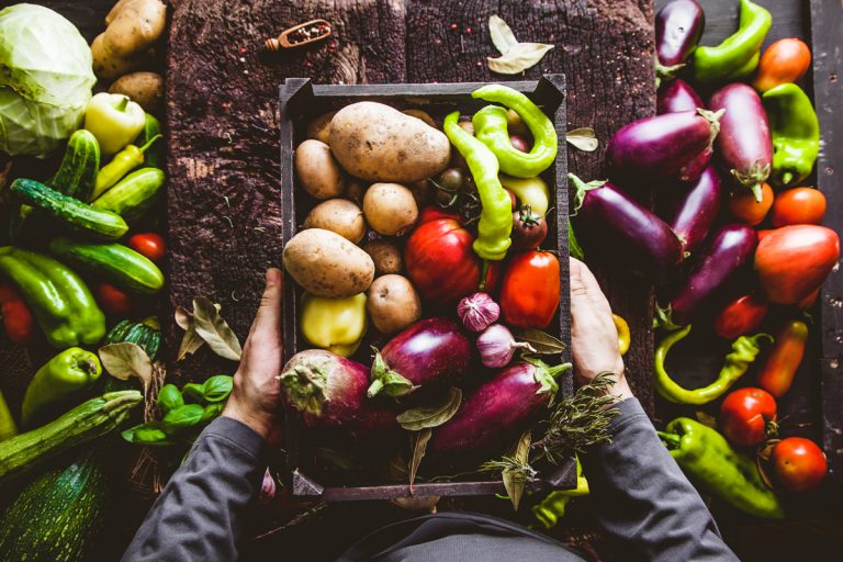Flora intestinale: cos'è, a cosa serve, come proteggerla - Melarossa