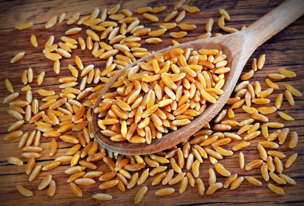 Frumento: che cos'è, storia, valori nutrizionali, benefici e ricette ...