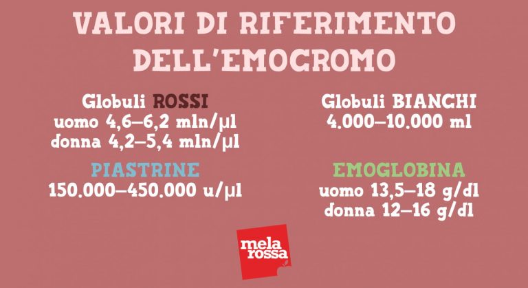 Analisi del sangue: quando farle, a cosa servono e valori di riferimento