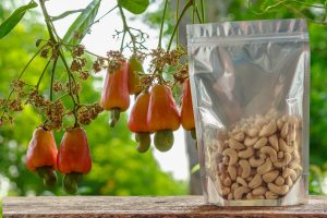 Anacardi: cosa sono, botanica, benefici e ricette