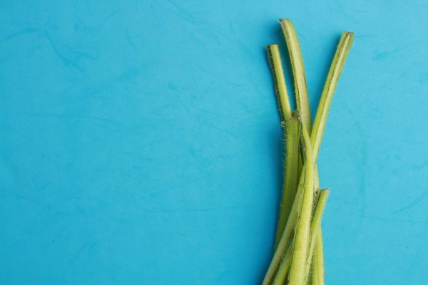 Borragine: cos'è, proprietà, controindicazioni e come cucinarla - Melarossa