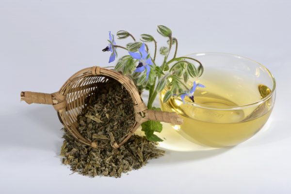 Borragine: cos'è, proprietà, controindicazioni e come cucinarla - Melarossa