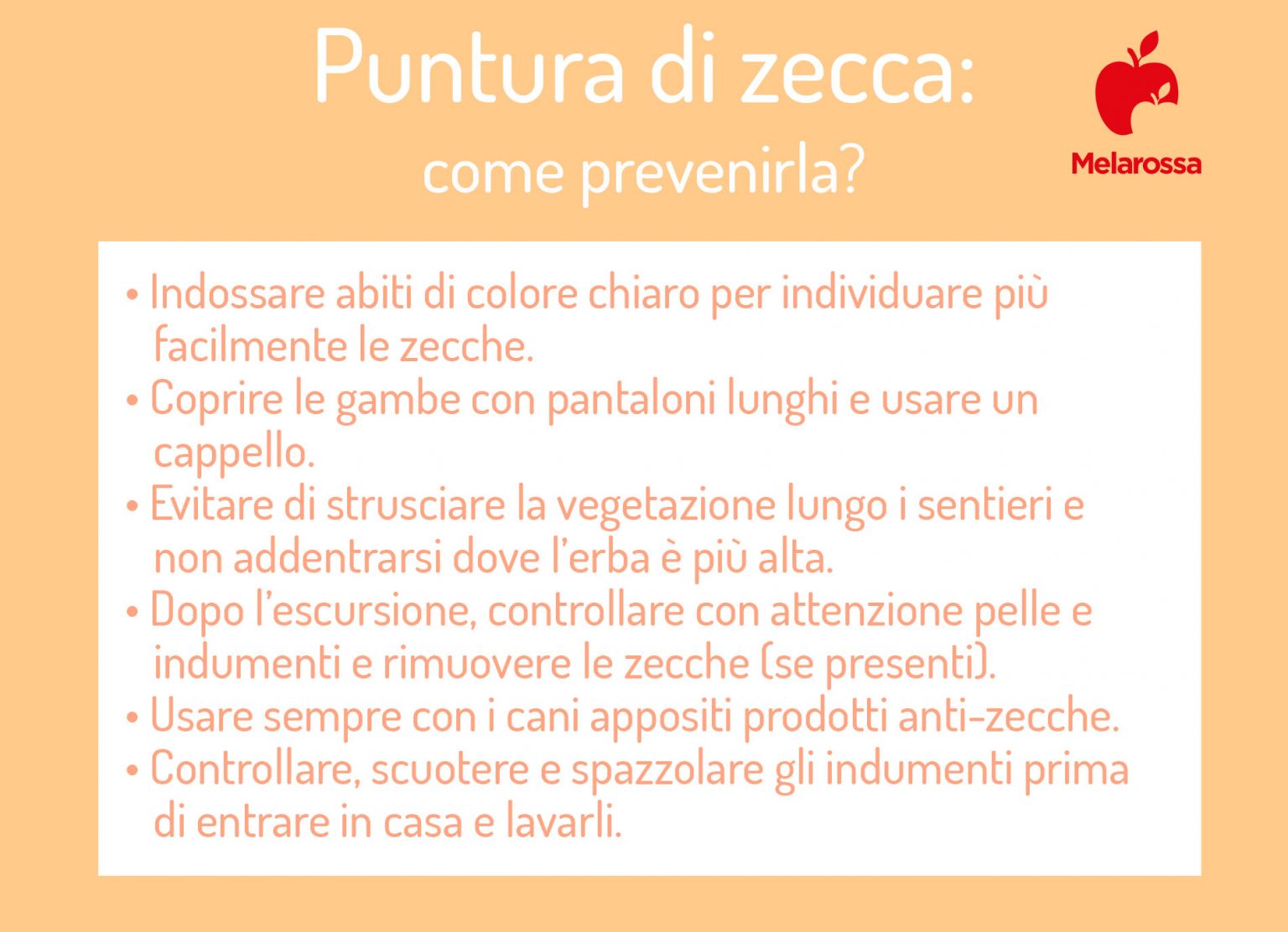 Puntura o morso di zecca, cosa fare, quali sono i sintomi e come prevenire