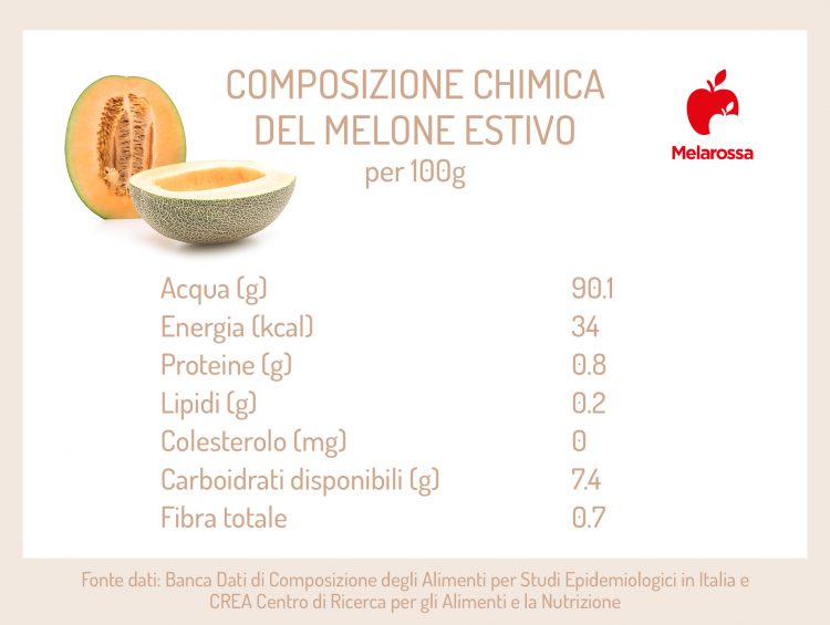 Melone: proprietà, benefici e utilizzo in cucina