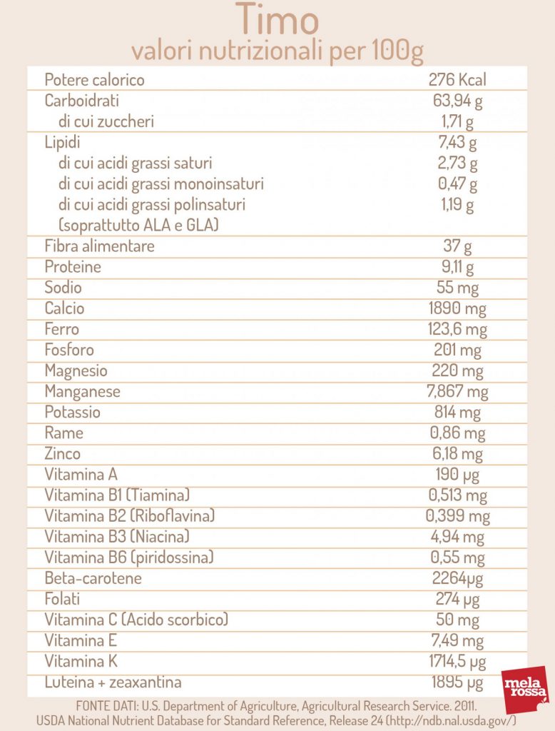 Timo: valori nutrizionali, proprietà medicinali e usi in cucina