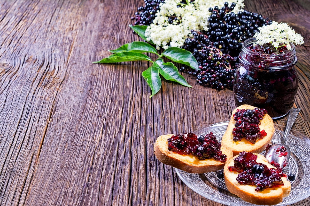 Sambuco: cos'è, benefici e proprietà, trattamenti e usi in cucina