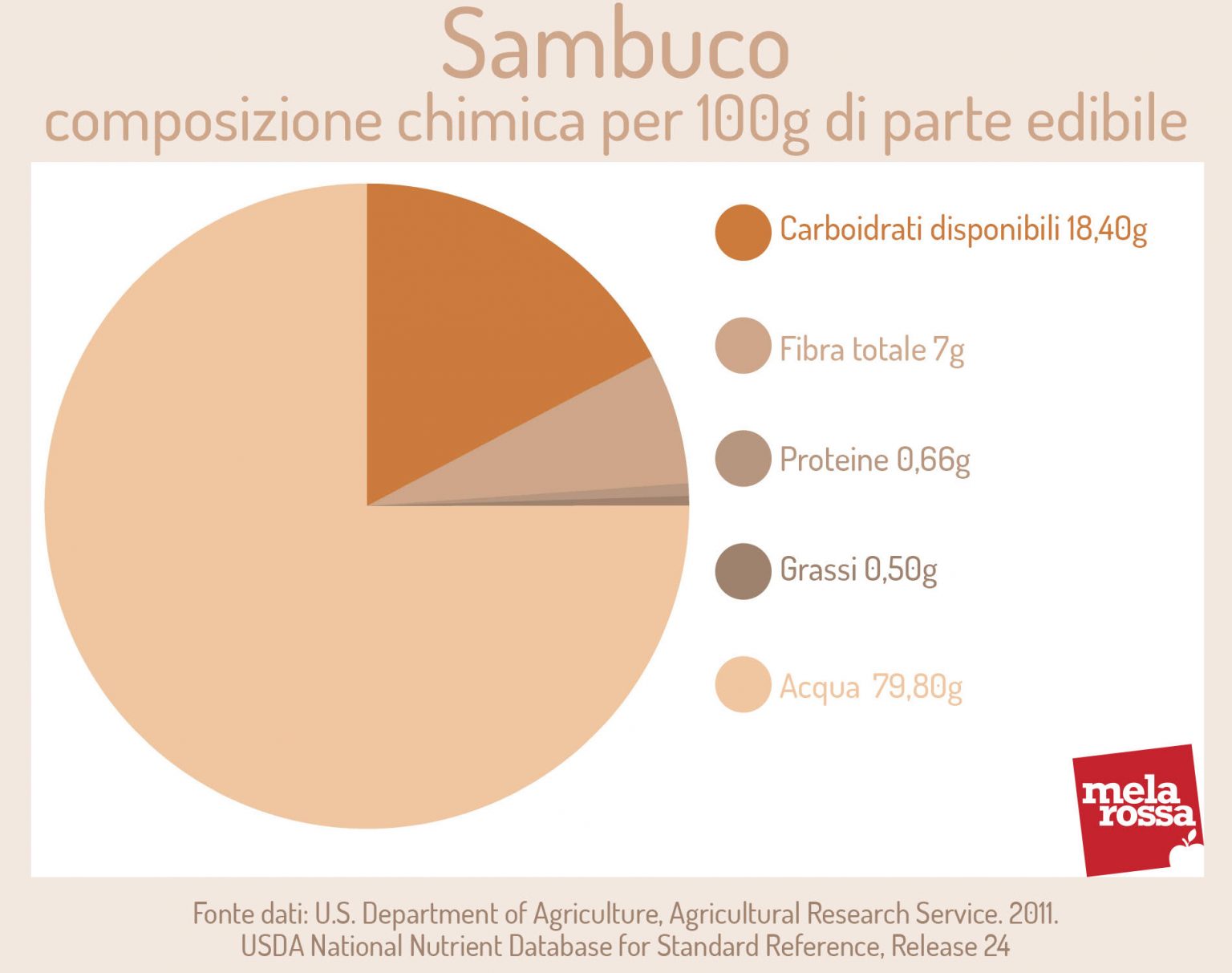 Sambuco: cos'è, benefici e proprietà, trattamenti e usi in cucina