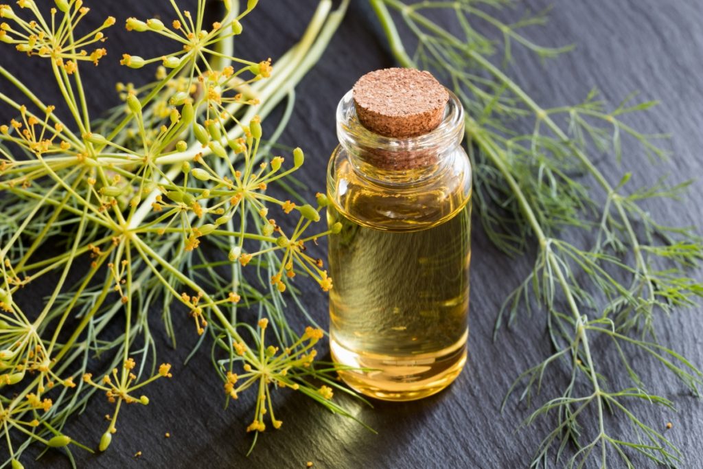 Aneto: cos’è, benefici per la salute, valori nutrizionali e ricette