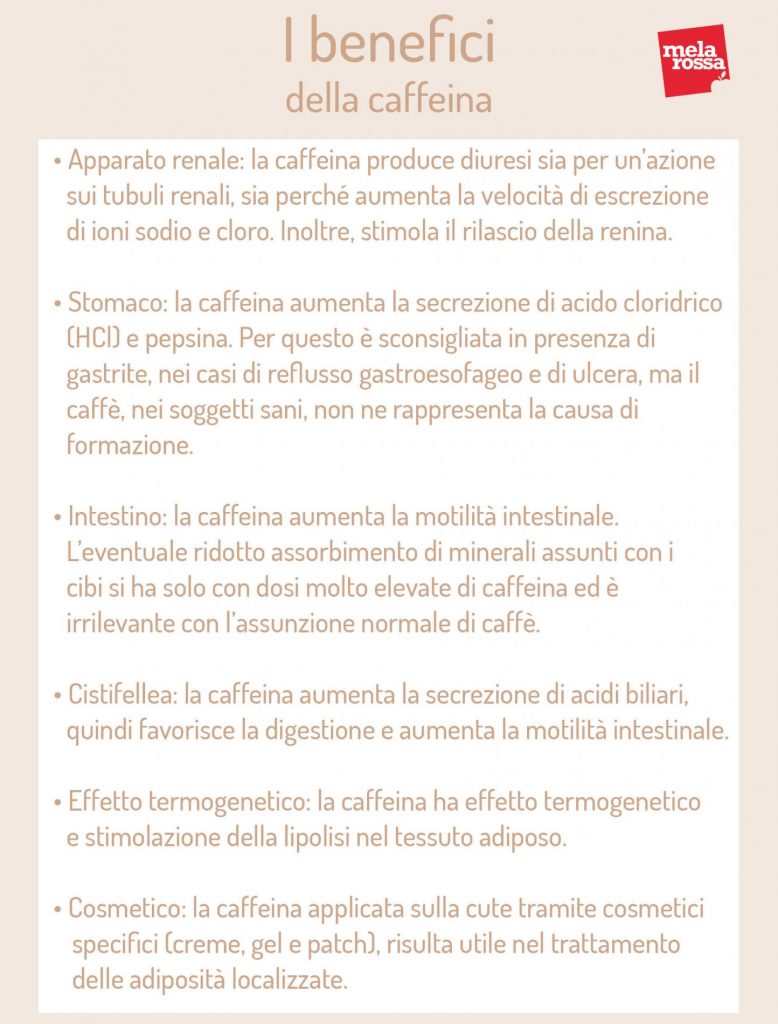 Caffeina: cos'è, benefici, effetti sul fisico e controindicazioni