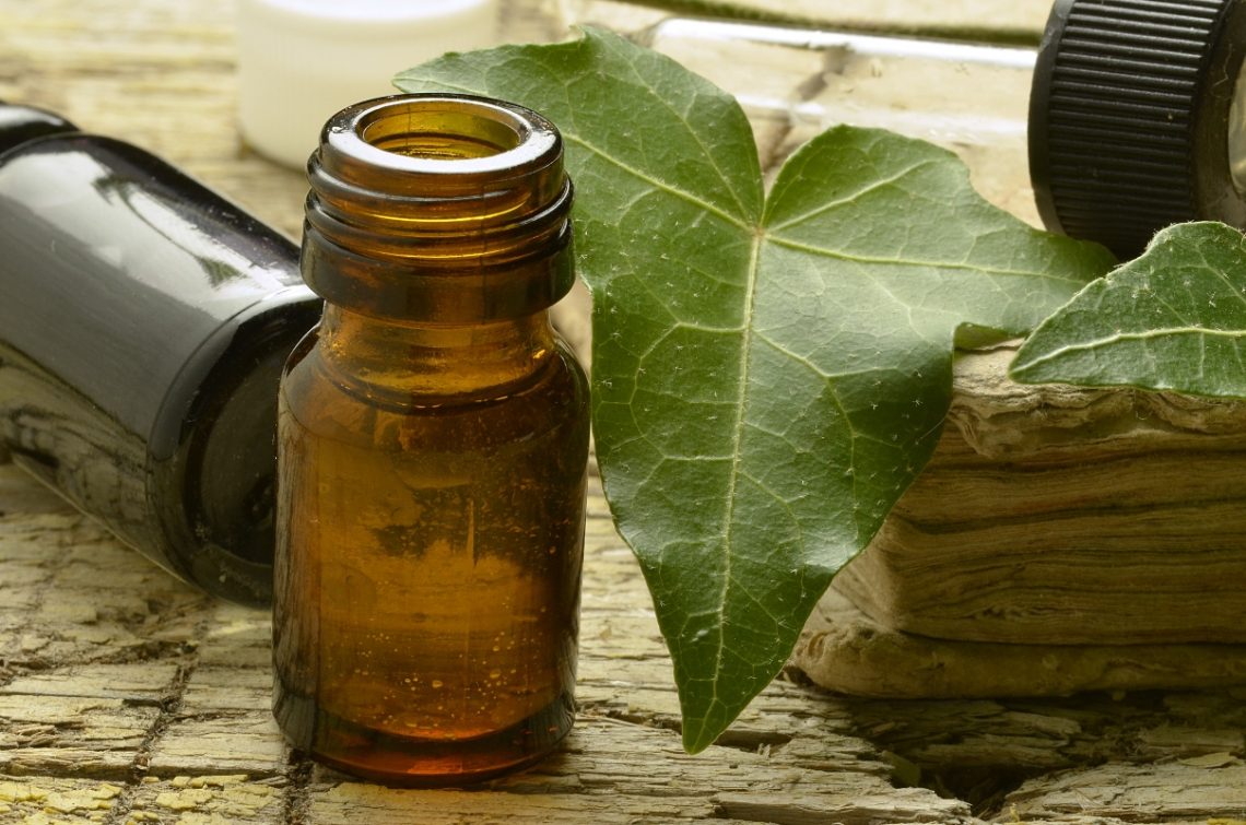 Edera: la pianta rampicante tra benefici, rimedi naturali, effetti ...