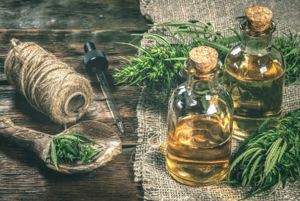 Canapa: proprietà, usi e controindicazioni
