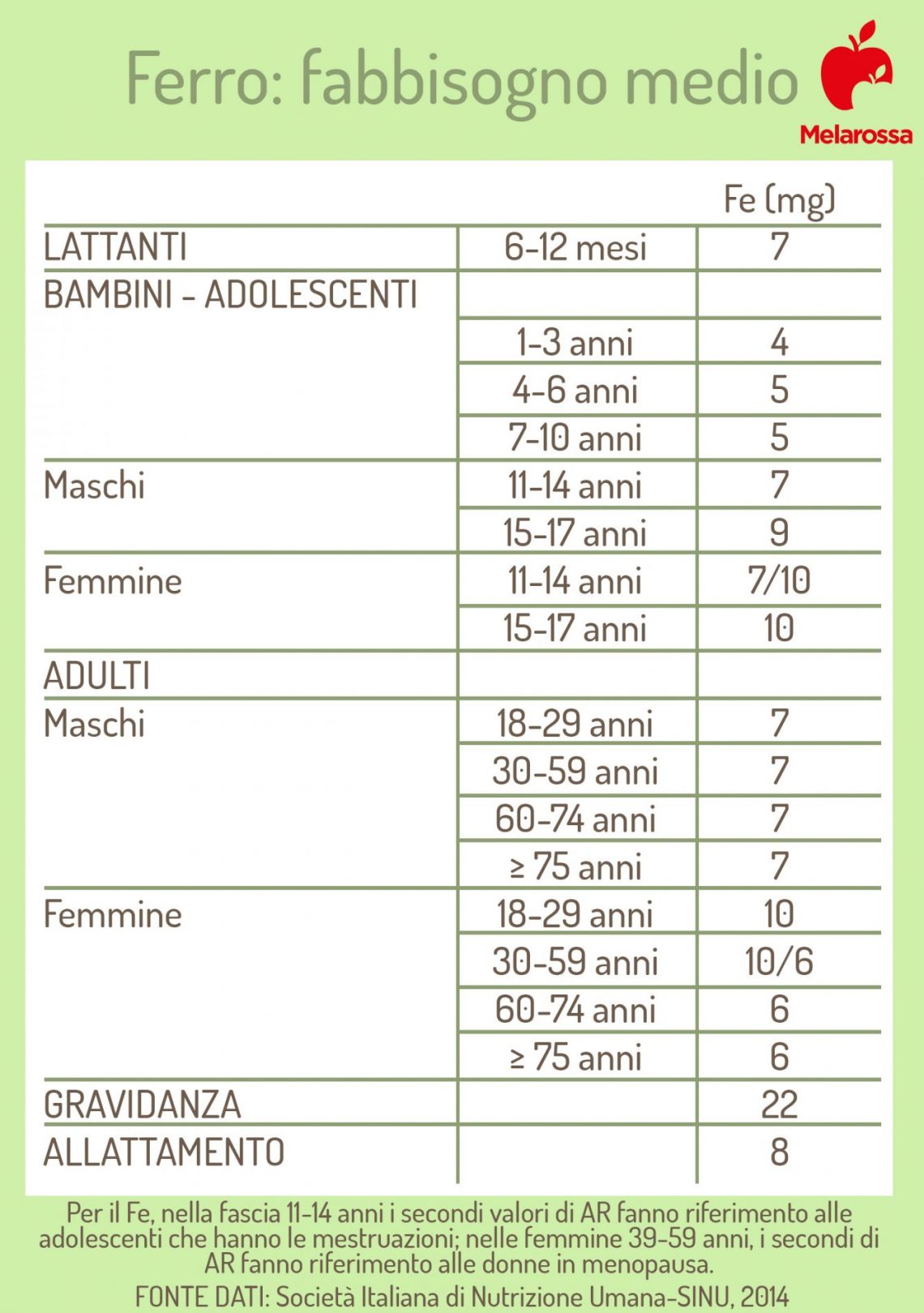 Ferro: che cos’è, fabbisogno e alimenti che ne contengono di più