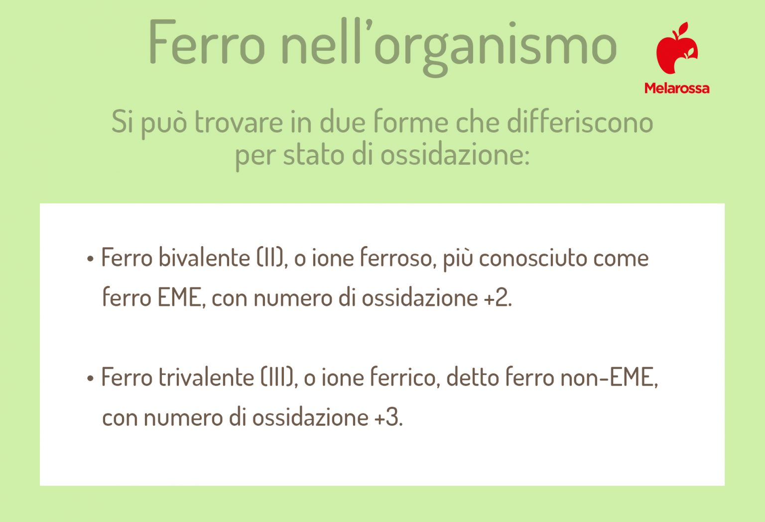 Ferro: che cos’è, fabbisogno e alimenti che ne contengono di più