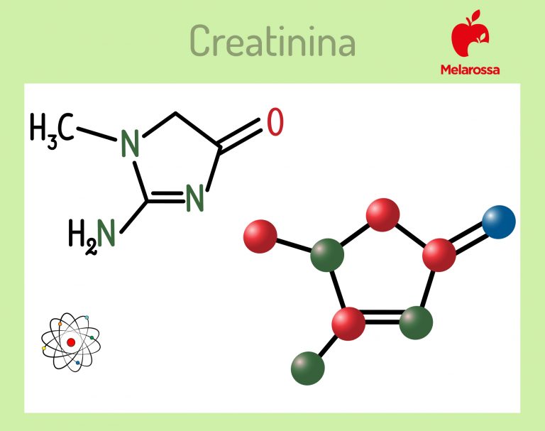Creatinina: a cosa serve, valori, dieta, cosa mangiare quando è alta