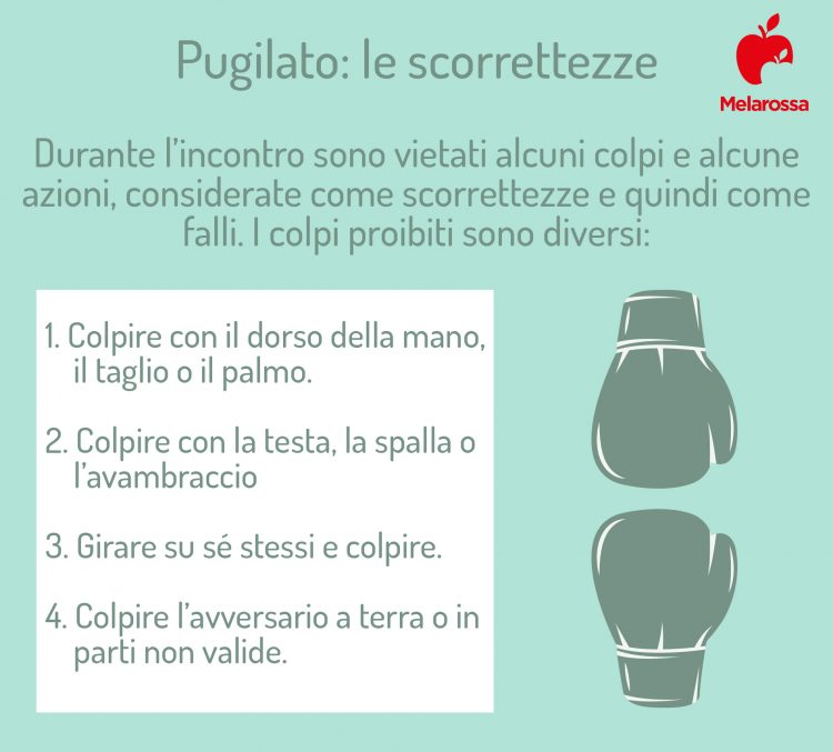 Pugilato: storia, etica e valori, combattimenti, tecnica e regole