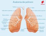 Le malattie respiratorie: quali sono, cause e prevenzione
