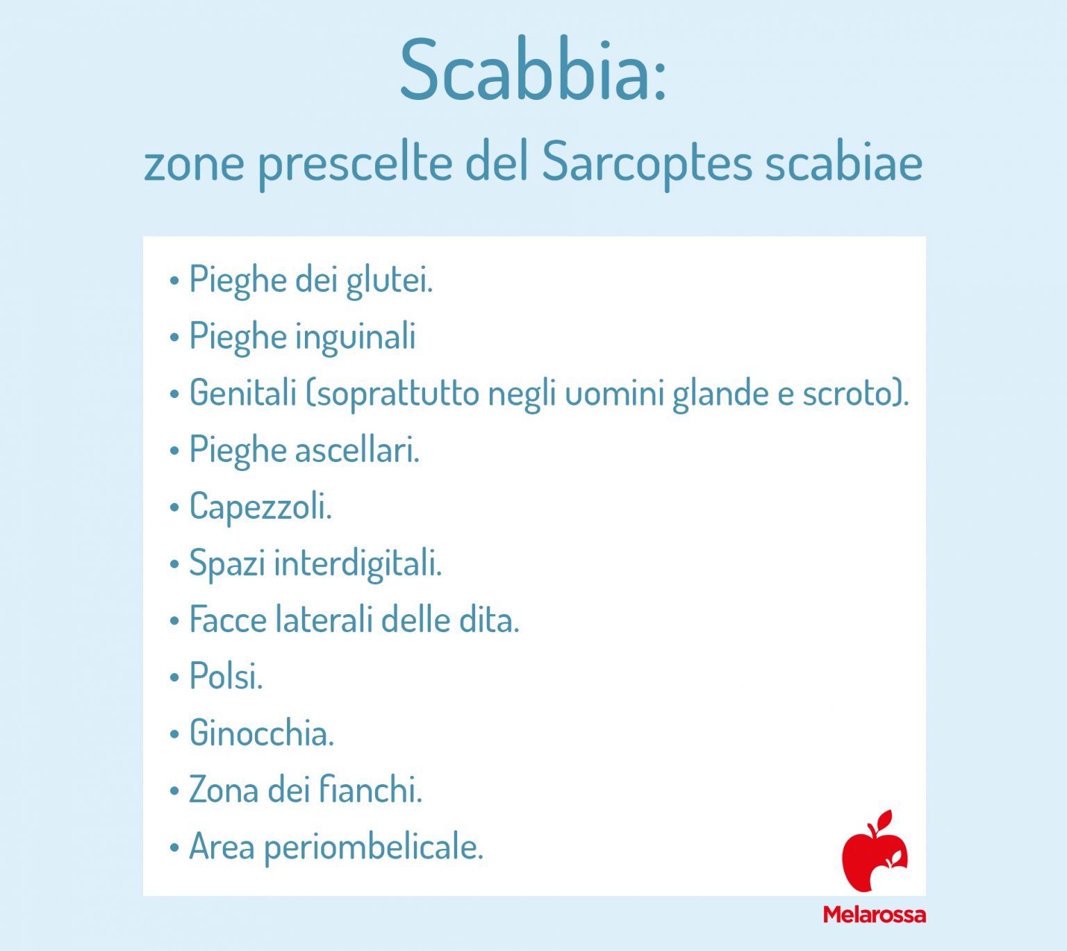 Scabbia: cos’è, come si trasmette, sintomi, diagnosi, cure e prevenzione