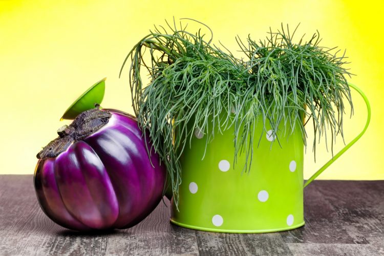 Agretti: proprietà, benefici ed utilizzo in cucina - Melarossa