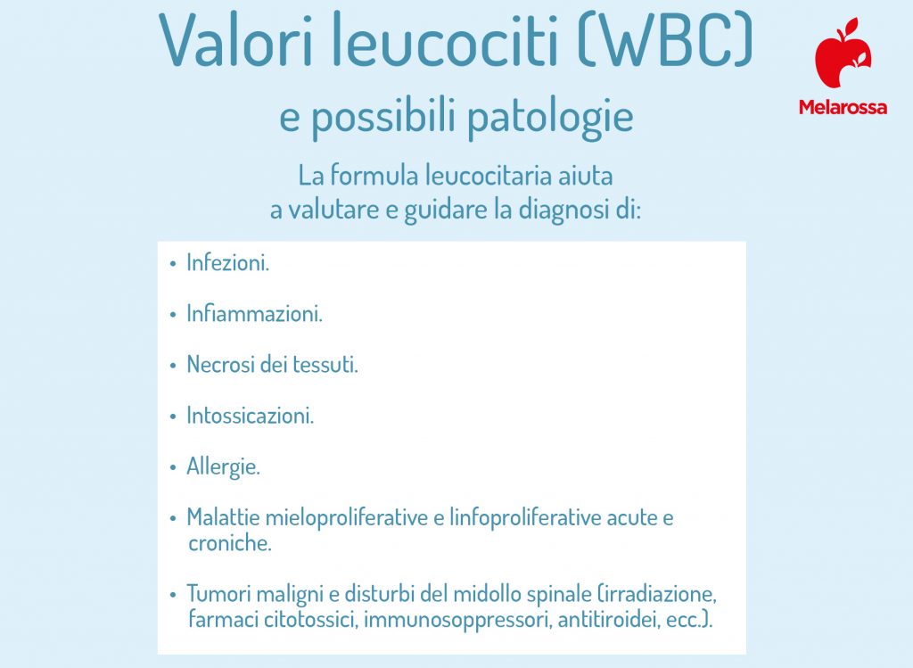 Emocromo: cos’è, cosa descrive, valori, come interpretare i risultati