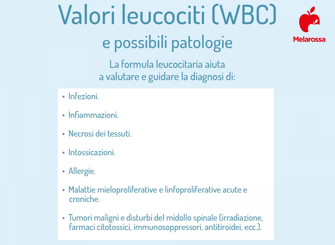 Emocromo: cos’è, cosa descrive, valori, come interpretare i risultati