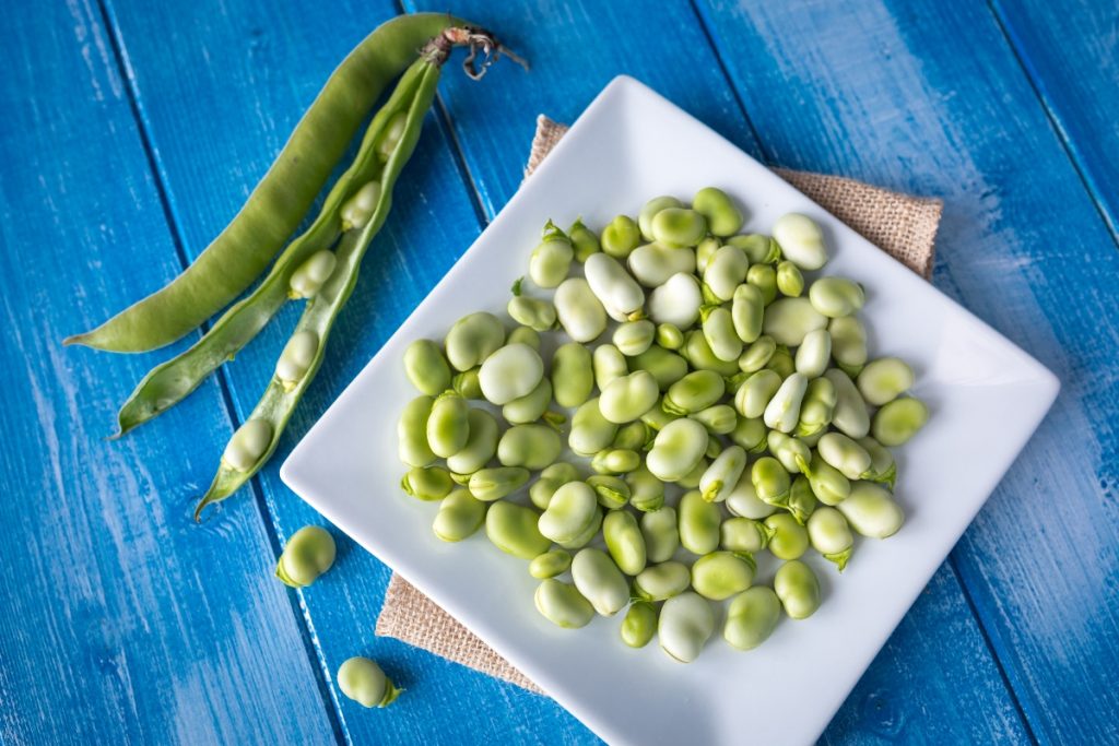 Fave: proprietà, benefici, utilizzi in cucina - Melarossa