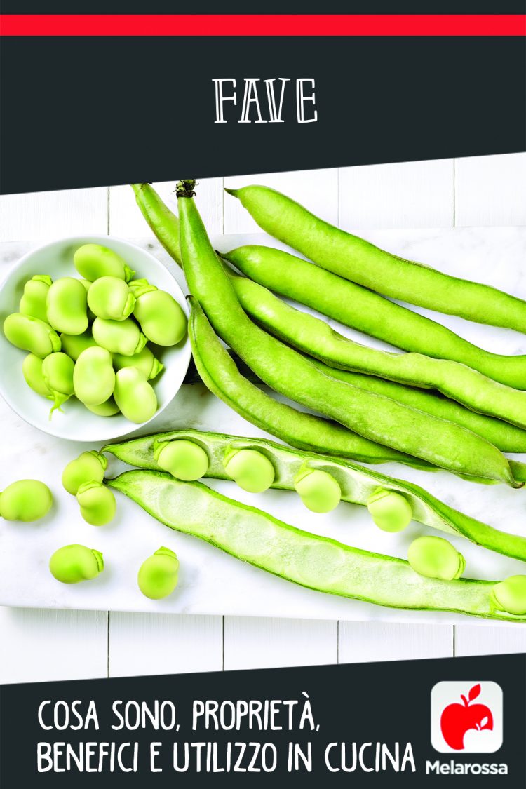 Fave: proprietà, benefici, utilizzi in cucina - Melarossa