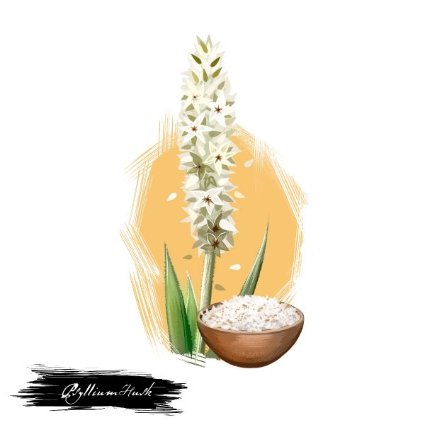 Psillio: cos’è, a cosa serve, benefici, quanto assumerne