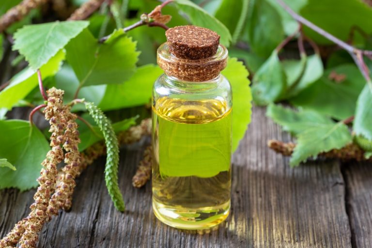 Betulla: proprietà, benefici, controindicazioni e ricette - Melarossa
