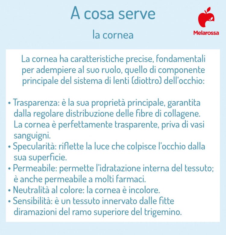 Cheratocono: cos’è, cause, sintomi fattori di rischio e cure