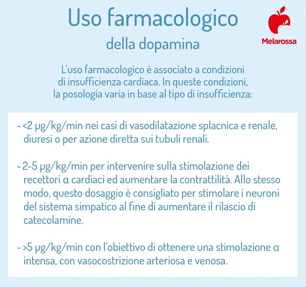 Dopamina: cos’è, a cosa serve, integratori, alimenti ricchi