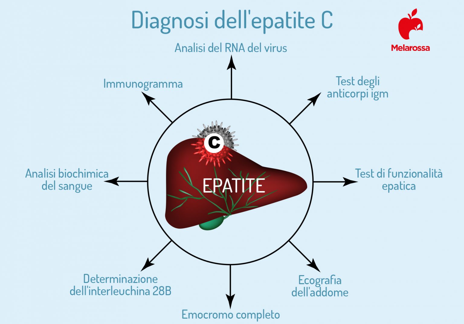 Epatite C: cos’è, cause e sintomi, contagio, diagnosi, cure e prevenzione