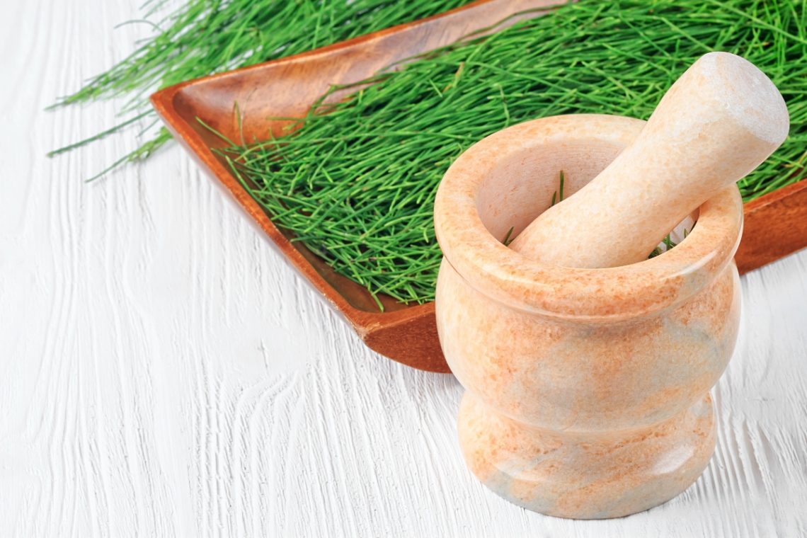 Equiseto: proprietà, benefici, a cosa serve e controindicazioni - Melarossa