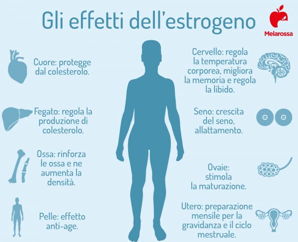Estrogeni: a cosa servono, alimenti ricchi e terapia ormonale