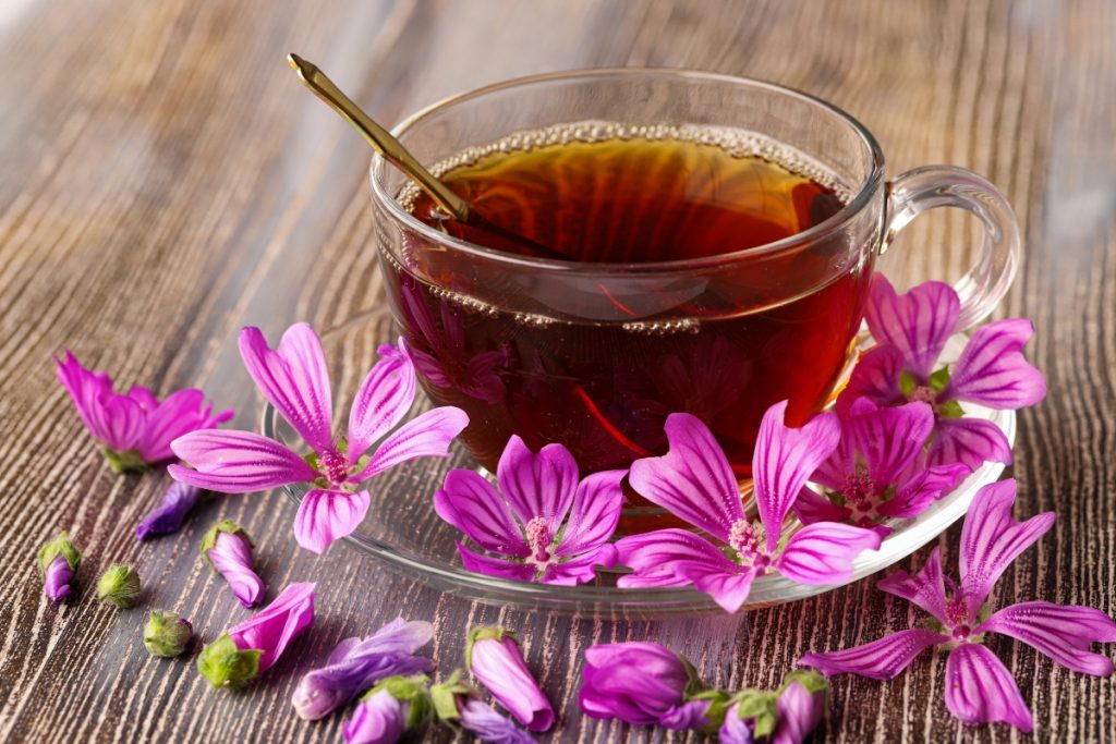 Malva: proprietà, benefici, pianta e controindicazioni