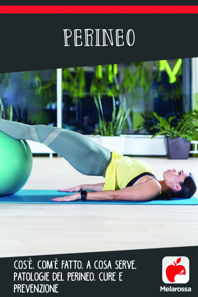 Perineo: cos’è, com’è fatto, patologie, cosa fare per mantenerlo in salute