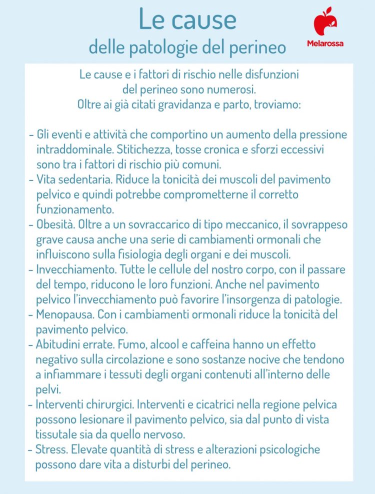 Perineo: cos’è, com’è fatto, patologie, cosa fare per mantenerlo in salute