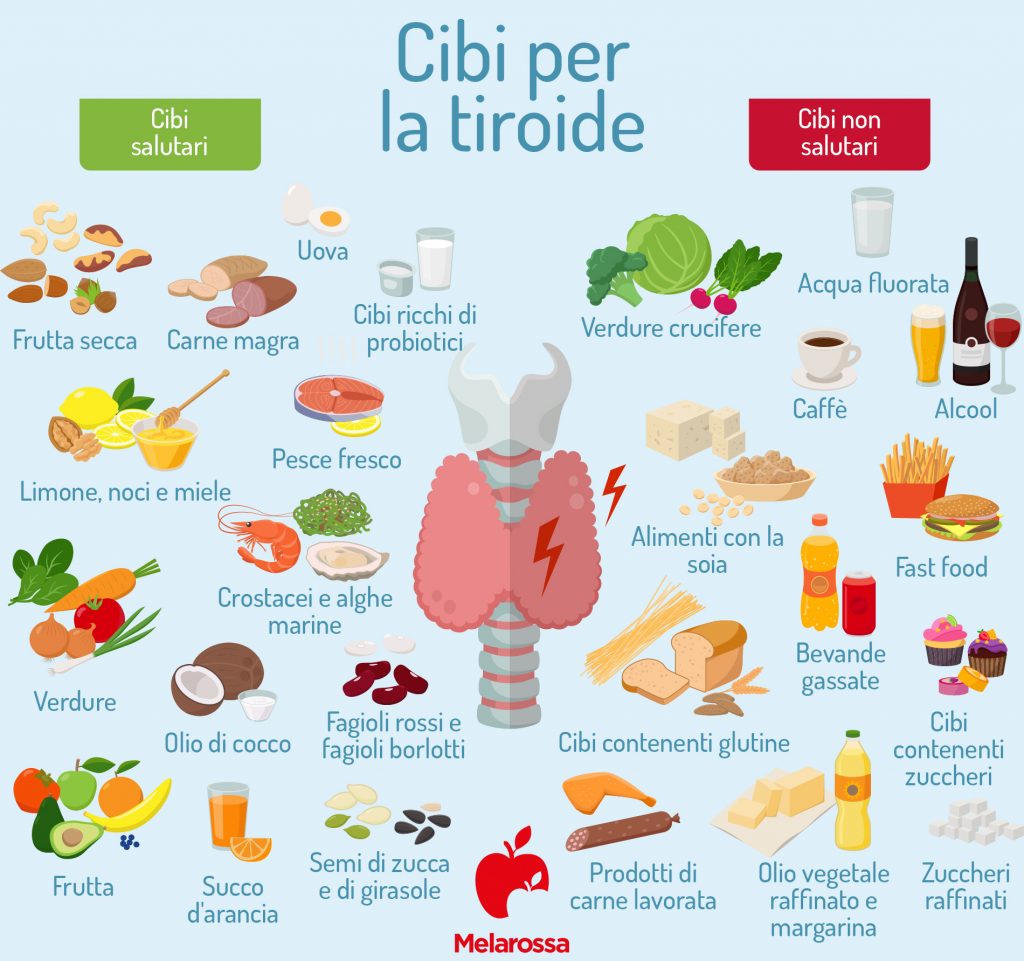 Tiroide: cos'è, a cosa serve, sintomi, esami e cure