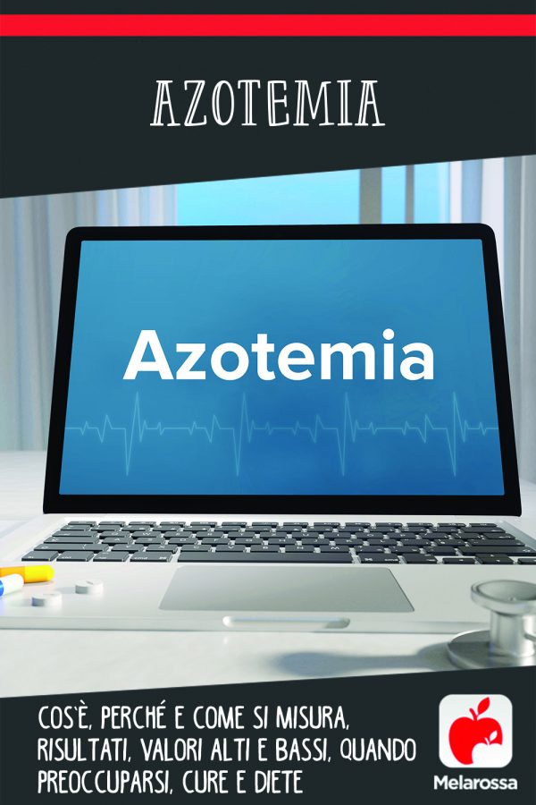 Azotemia: cos’è, valori alti e bassi, quando preoccuparsi, cure e diete