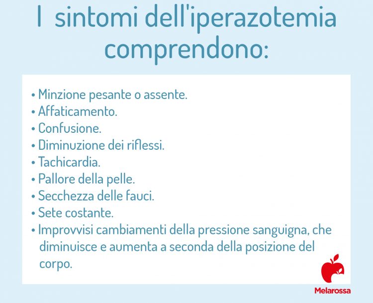 Azotemia: cos’è, valori alti e bassi, quando preoccuparsi, cure e diete