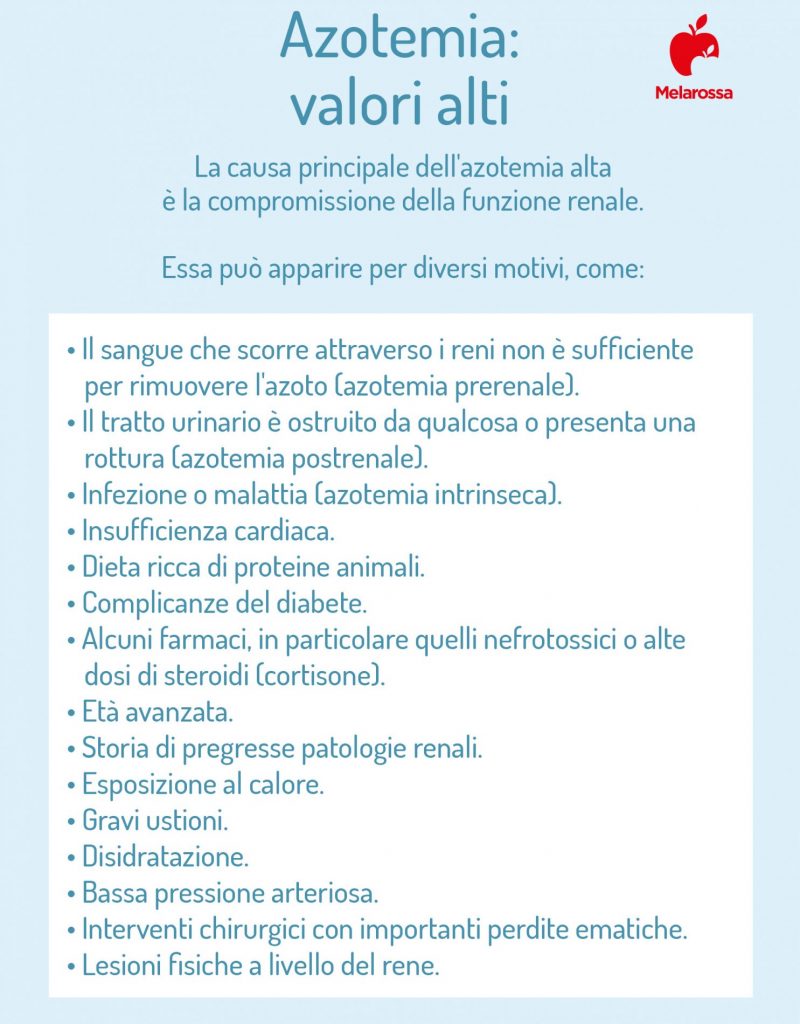Azotemia: cos’è, valori alti e bassi, quando preoccuparsi, cure e diete